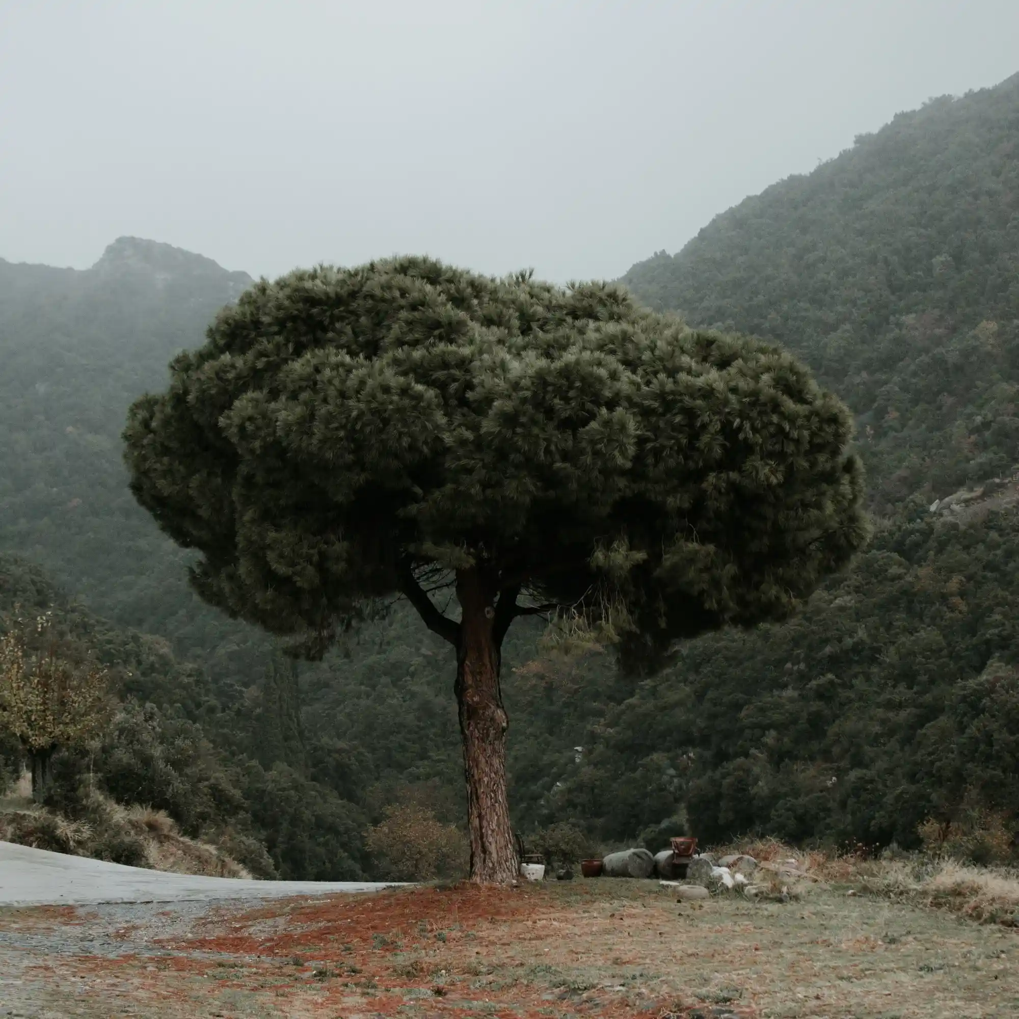 Gus Baha - Maryam dan Nabi Isa | Noice Podcast