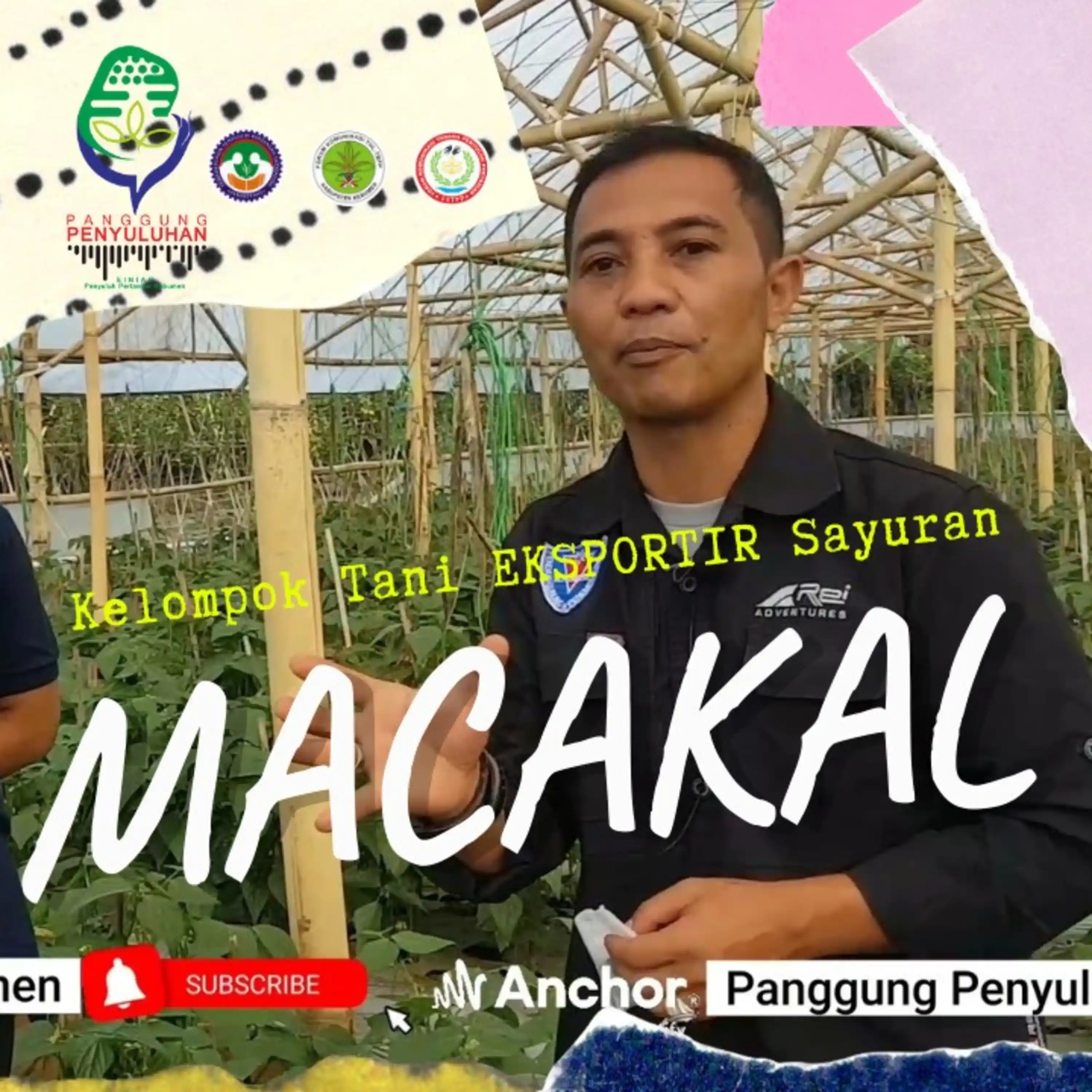 Panggung Penyuluhan : EPISODE 35 # MACAKAL Kelompok Tani EKSPORTIR Sayuran | Noice Podcast